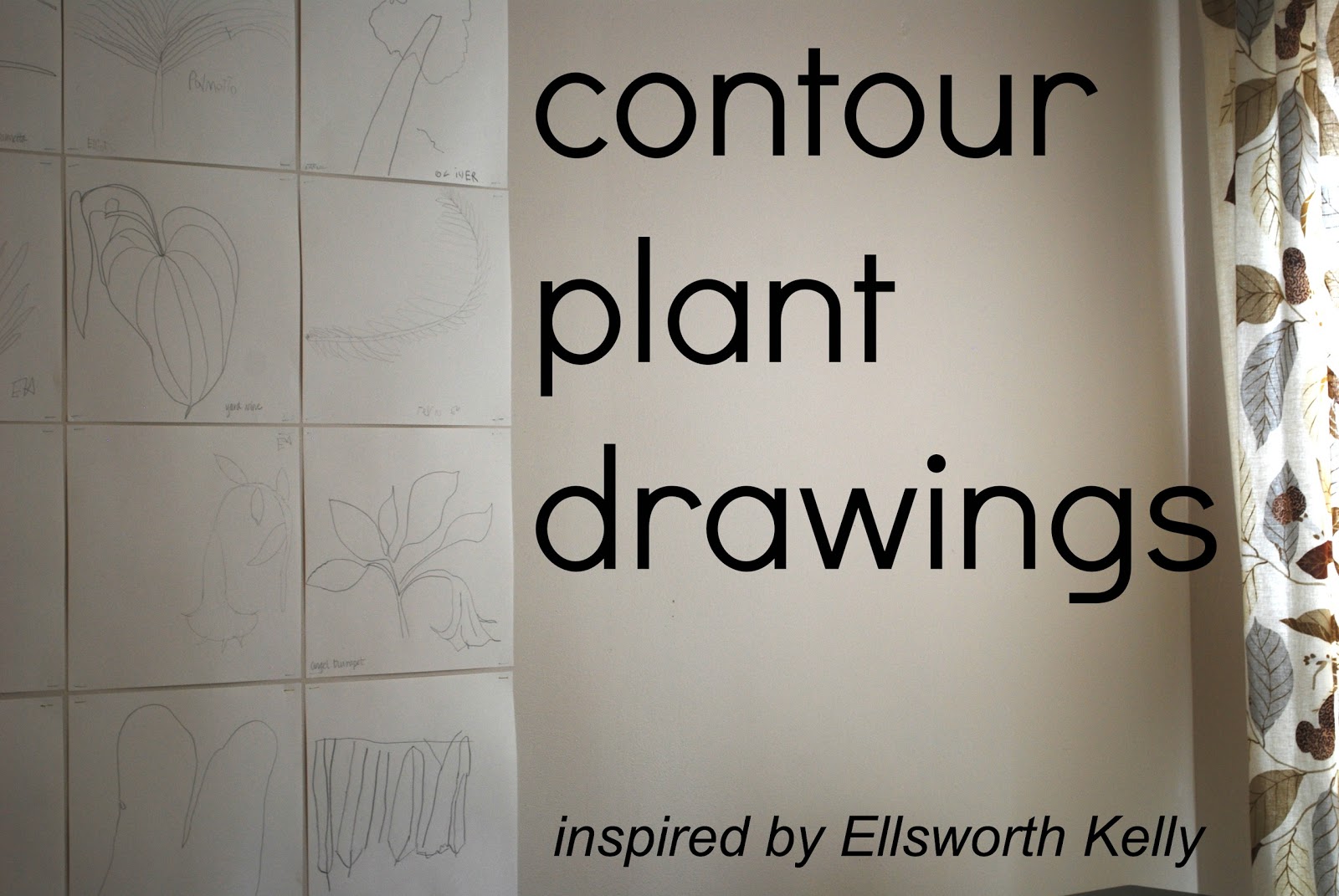 mamascout: make :: contour plant drawings