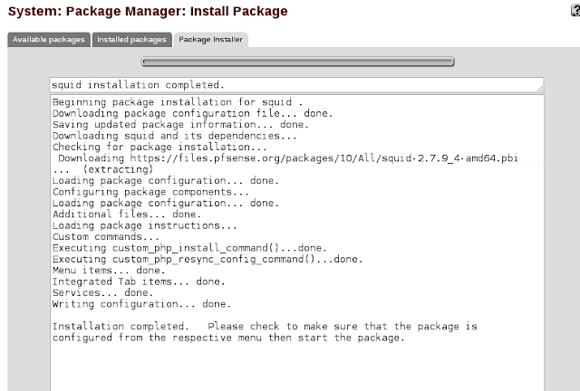 Configurando Proxy Transparente com Squid Proxy e PfSense - Nanoshots ...