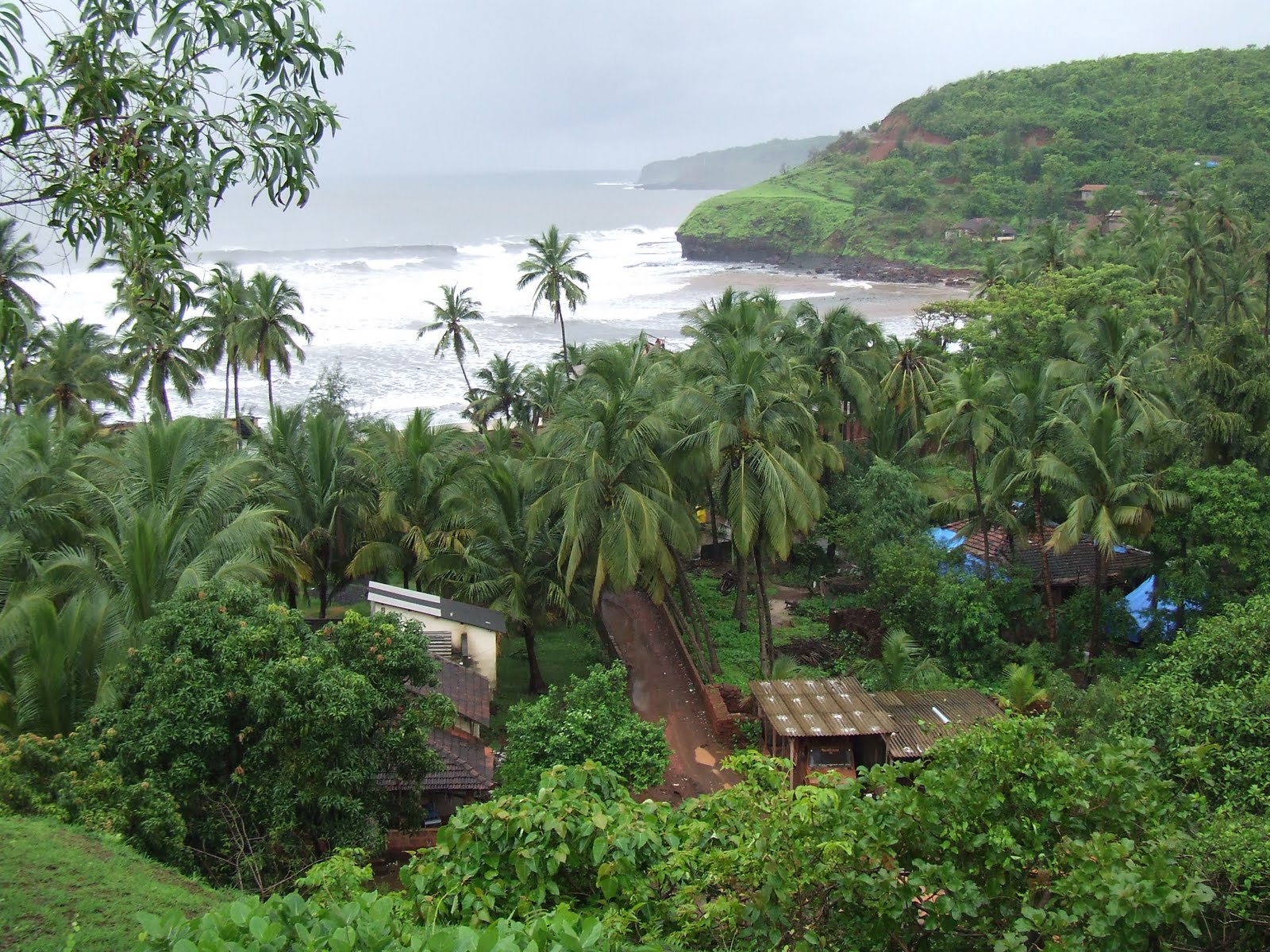 Beauty Of Nature: nisarg