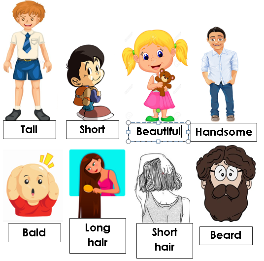 Physical Descriptions