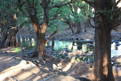 visitas espontaneas : junio 2013