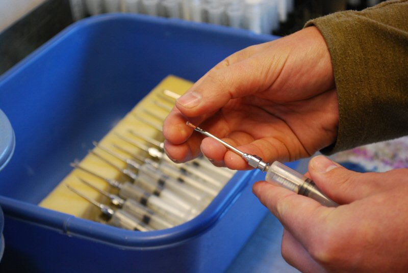 The Dish on Fish: PIT Tagging