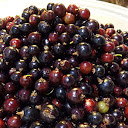 COCINA SANA Y FÁCIL