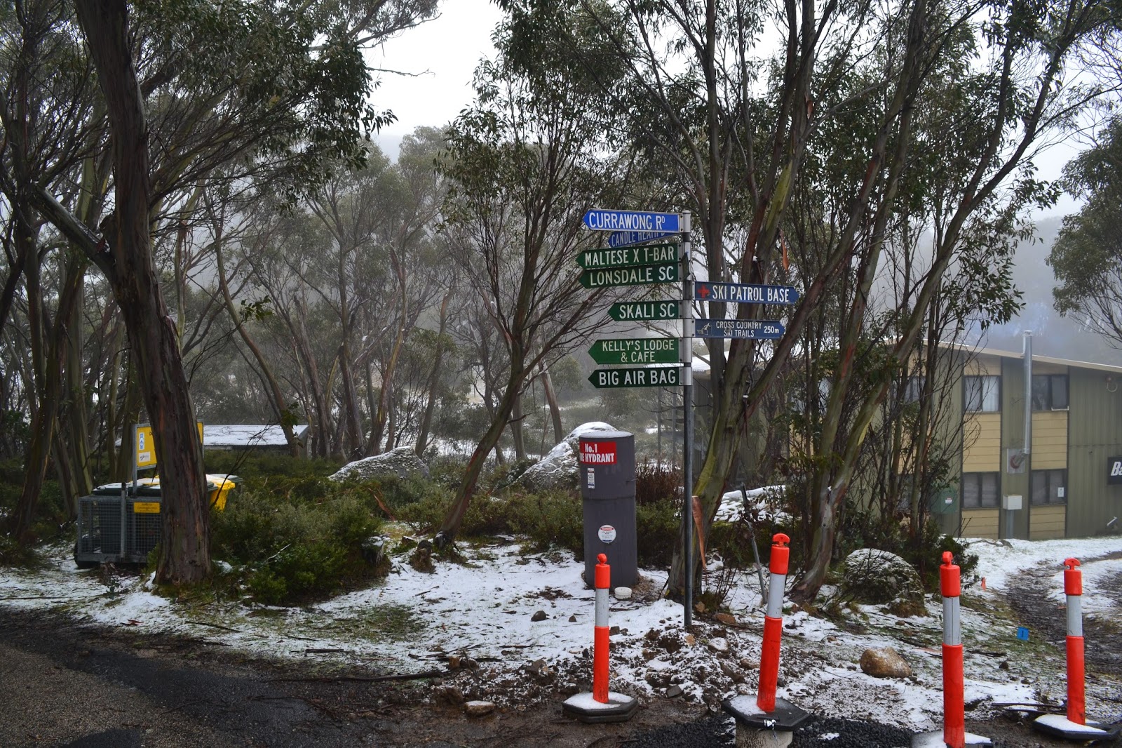 Goin' Feral One Day At A Time: Baw Baw Village to Mt St Phillack, Baw ...