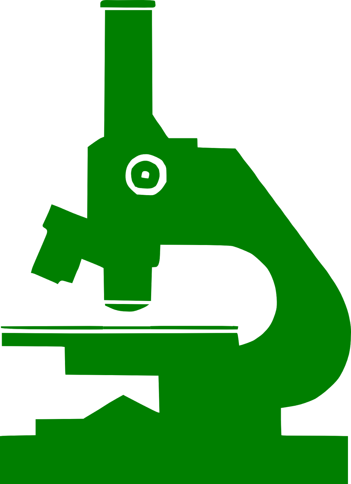 6EP Manyanet Les Corts: Crear metàfores