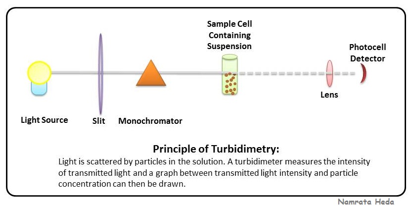 B for Biology: Spectrophotometry - Applications of UV-Visible ...