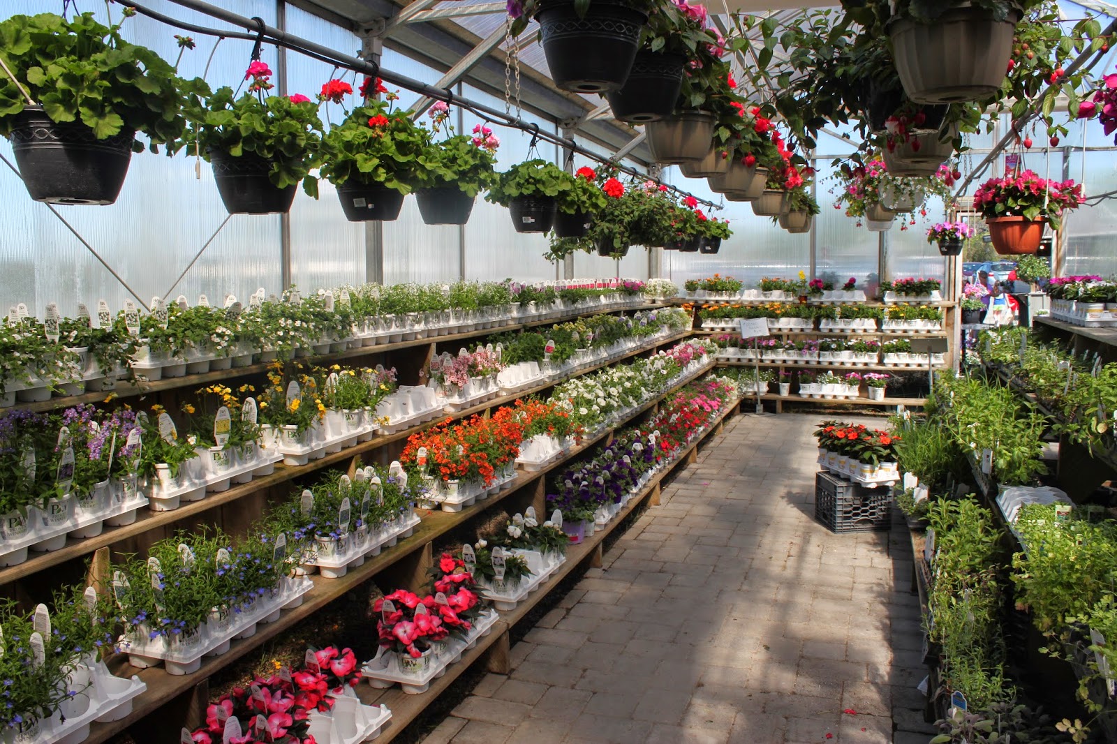 A Lady in Boston : Nearby: Tendercrop Farms