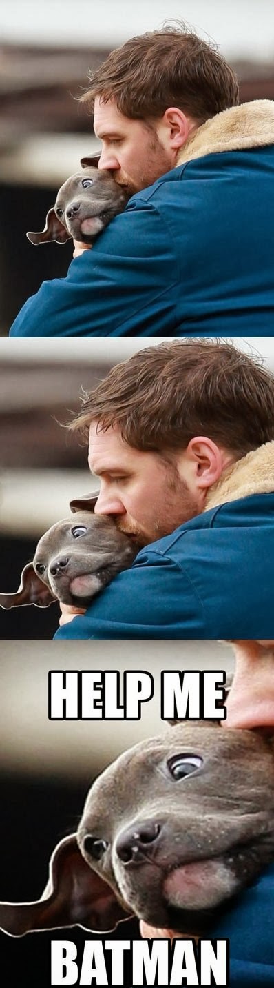 Help Me , Batman ! - Pics And Gifs