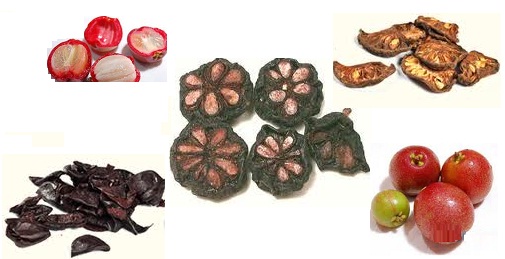 Garcinia Indica: Health benefits Indian spice Kokum