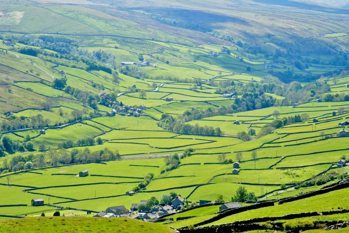 A SOLAS CON CLIO: Paisajes agrarios sector primario e imágenes ganadería