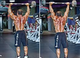 The Complete Gym Encyclopedia!! : BEST EXERCISES FOR INJURY-FREE SHOULDER