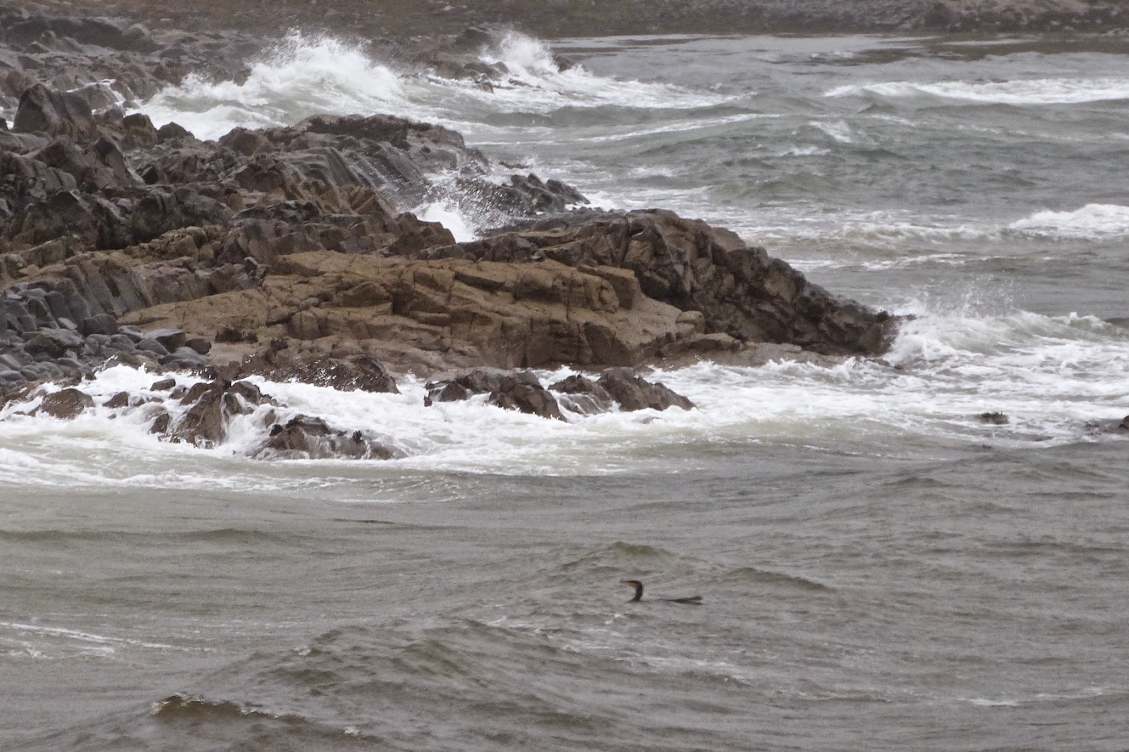 A Kilchoan Diary: From Calm to Near Gale