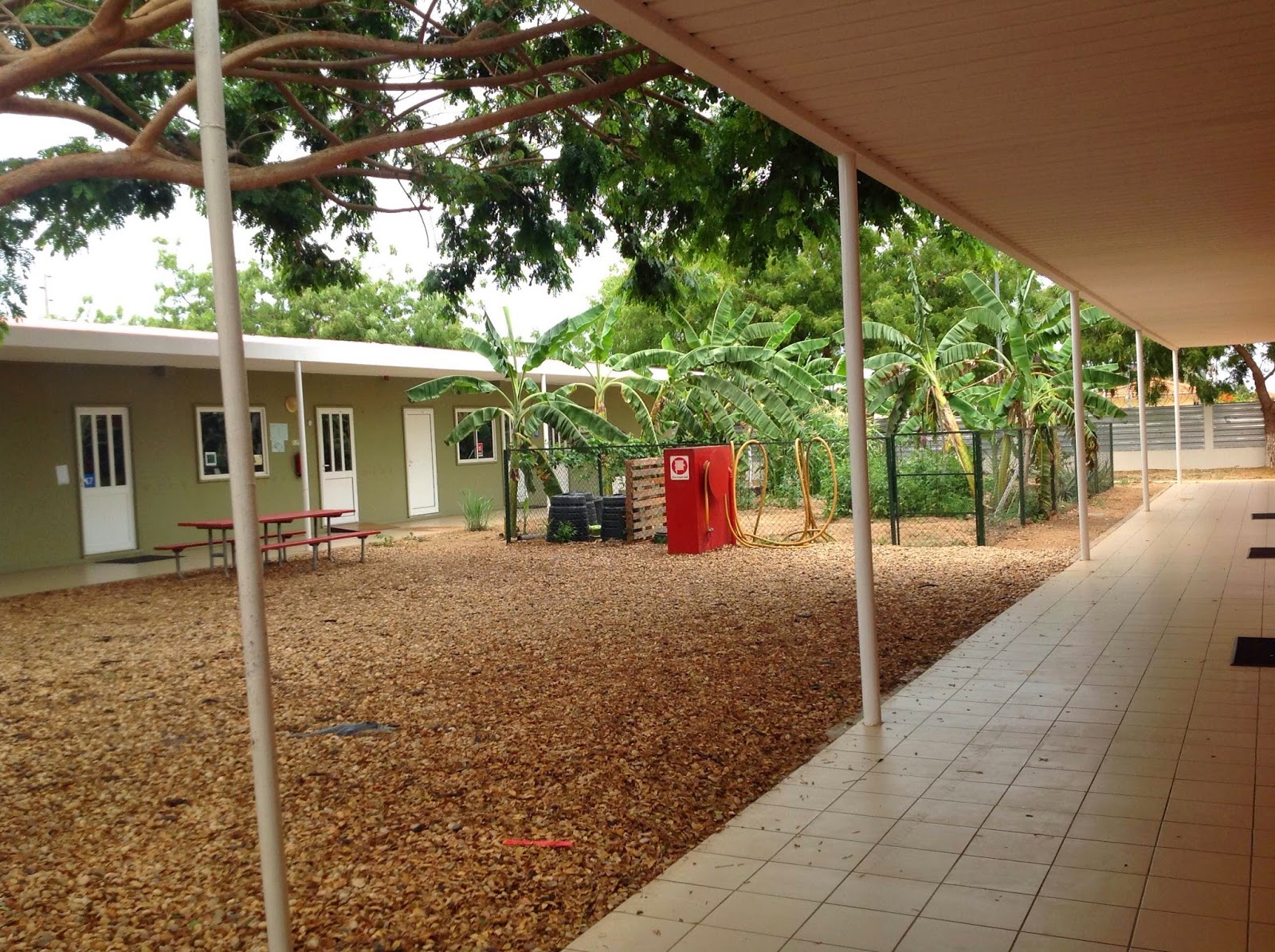 Os 5 em Angola: LIS - Luanda International School