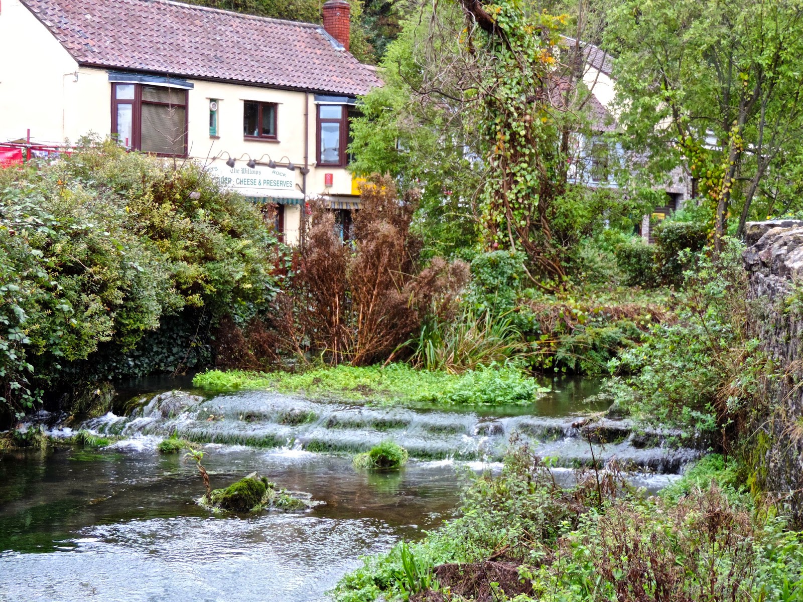 Of Golden Roses: All the Cheese | Cheddar, England