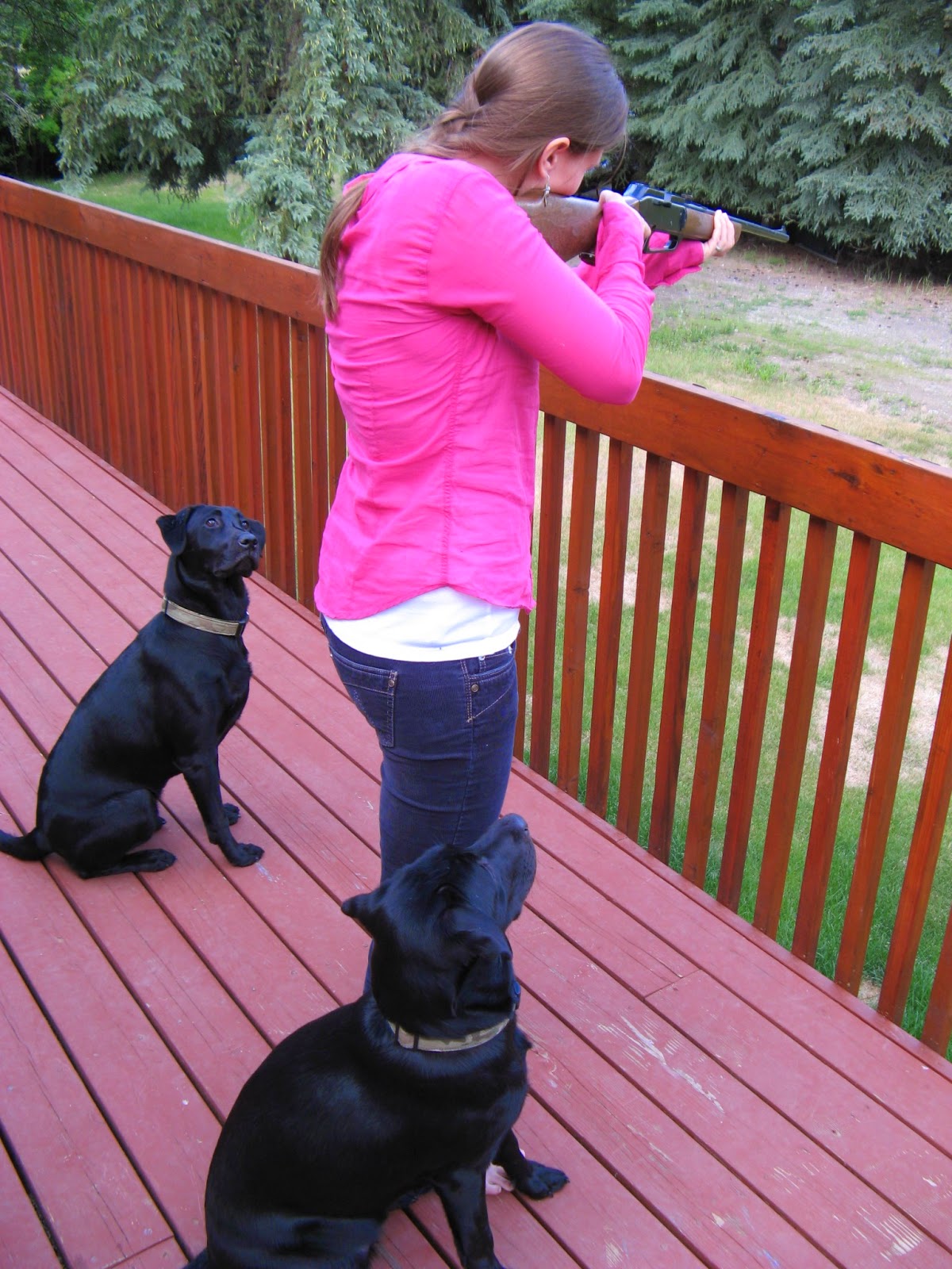 FALIA REVIEWS: My Thoughts & Tips on Training Pups - for Home, Defense ...