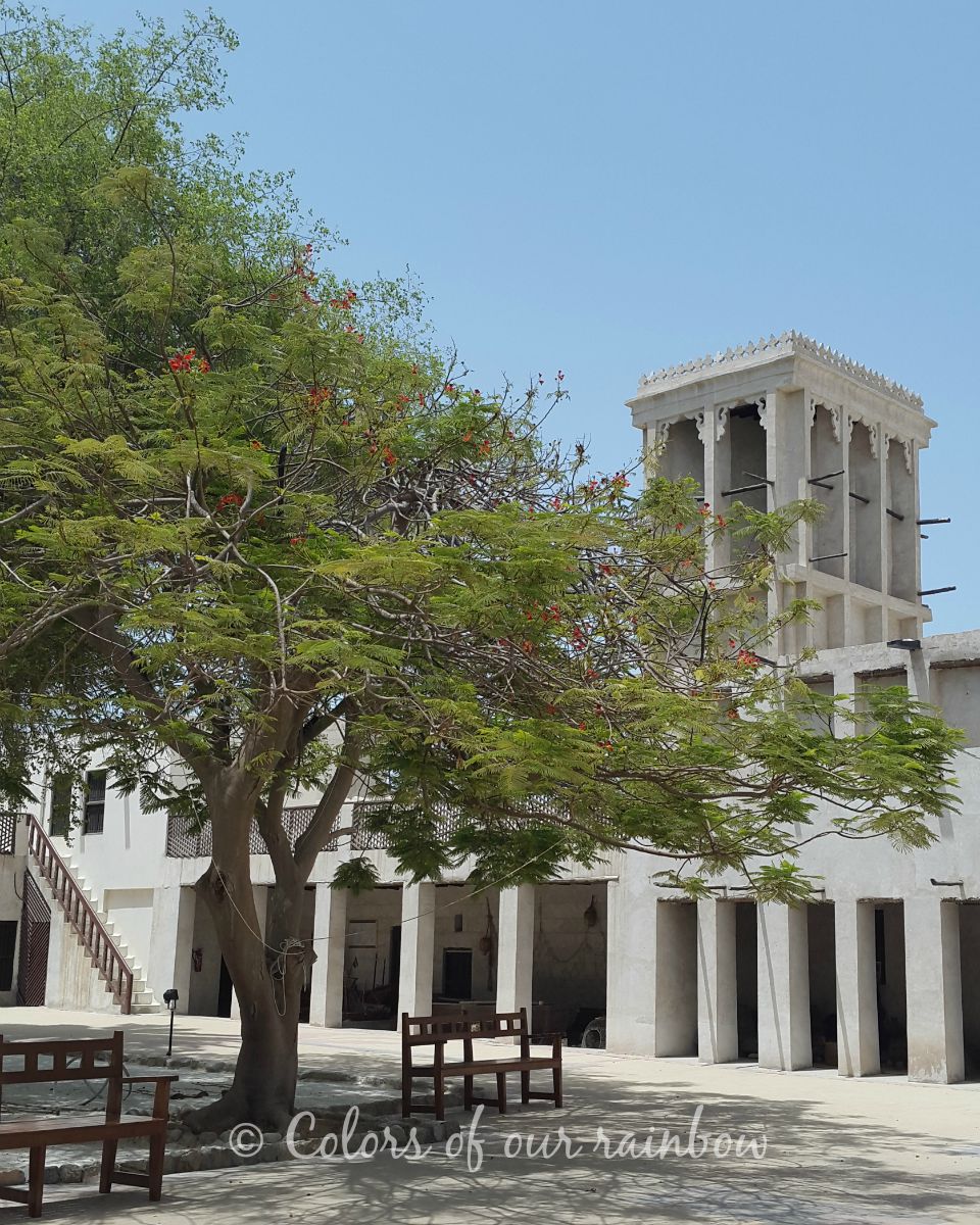 Colors of our Rainbow: Ras al Khaimah - Places to visit- RAK ZOO ...