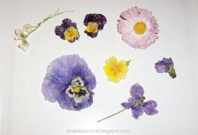 Survival and Preparedness on a Budget: How to Crystallize Flowers