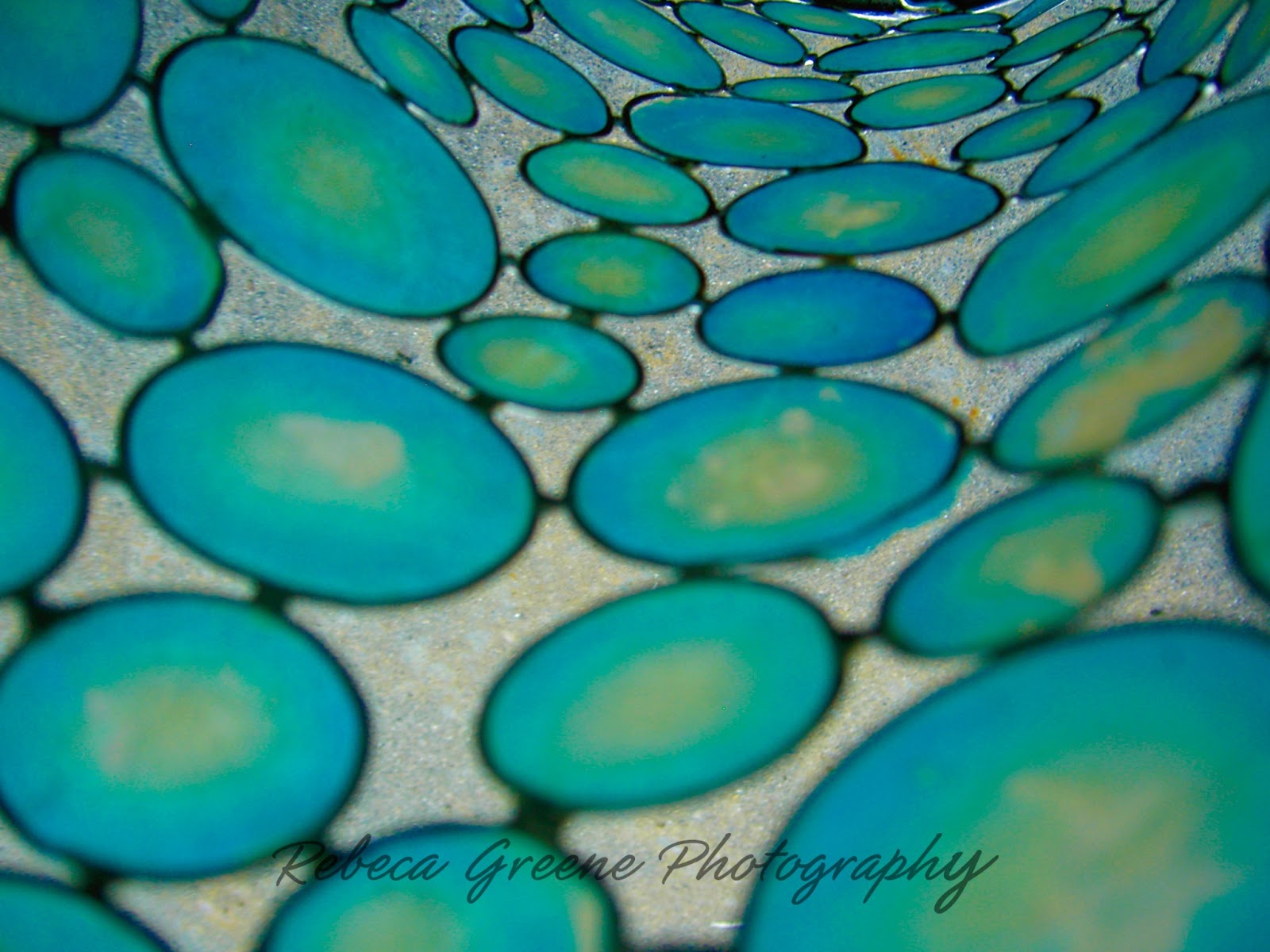 Who's Z? Creations///Rebeca Greene Photography: Test Patterns