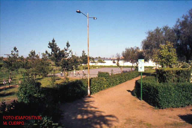 PARQUE MUNICIPAL DE MONTIJO: 5.PARQUE MUNICIPAL. ORNAMENTOS E ...