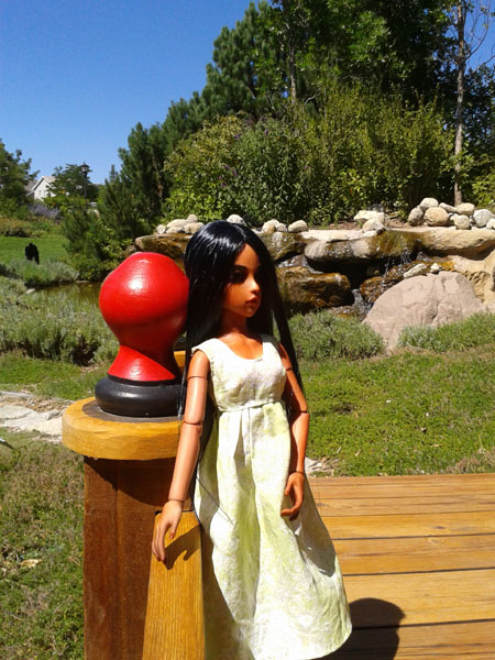 Sego Lily Gardens Photos of the Lovely Rania