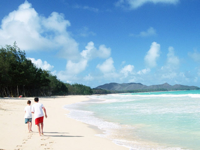 Swimming Pool Cleaners - Magic Pools