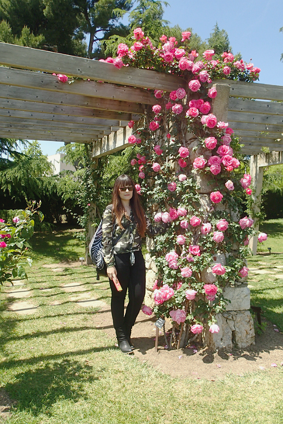 VerdenVoyage: La rosaleda del Parque de Cervantes