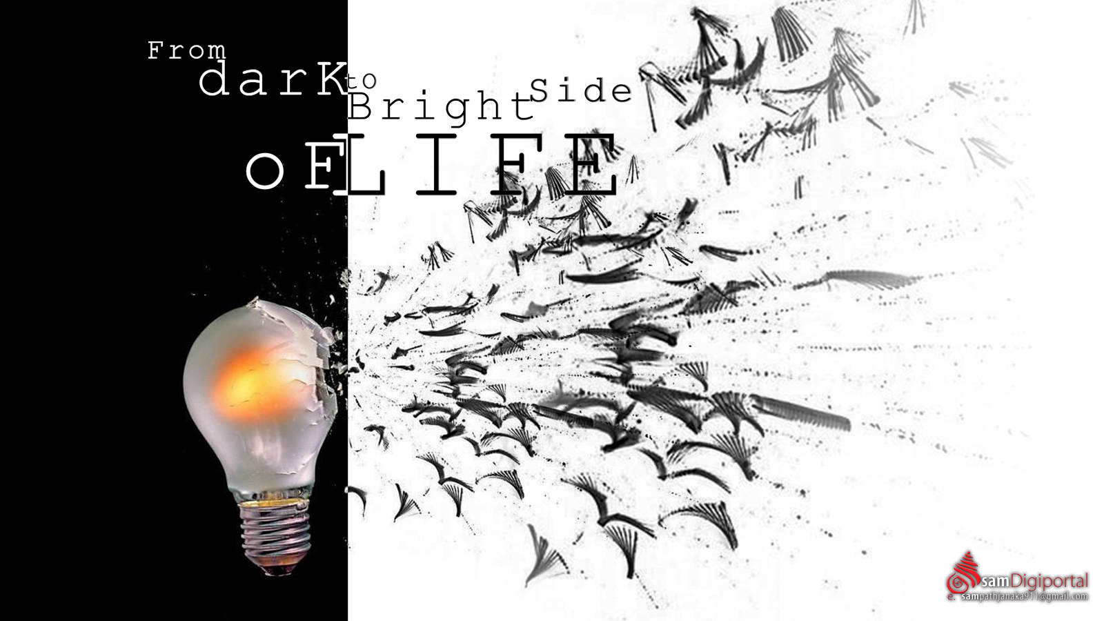 "From Dark to Bright side of Life" HD Wallpaper 1600X900