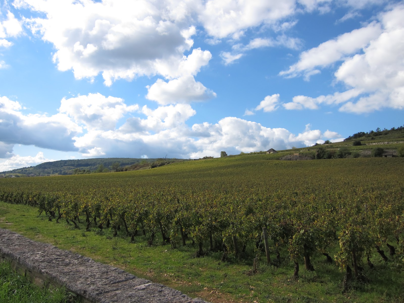 Bancroft Wines Blog: November 2012