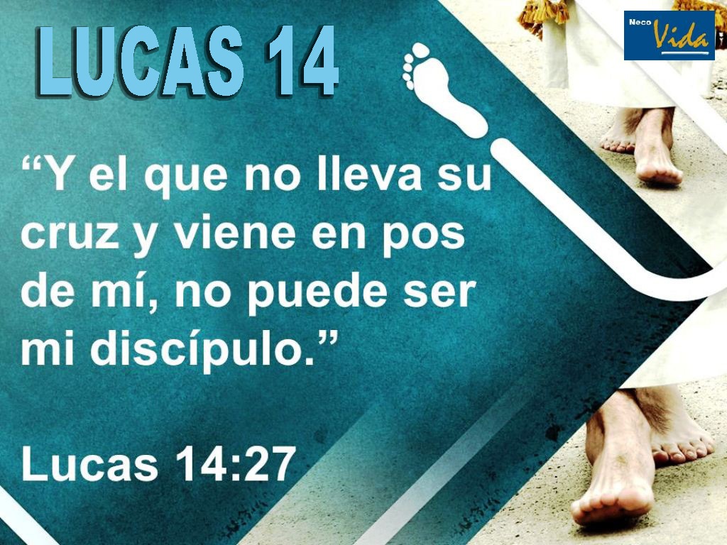 Neco Vida: Leyendo... Lucas capítulo 14