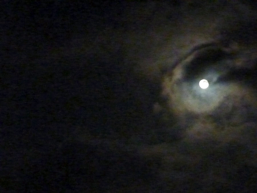 (what is this?): Frankenstein and the elements