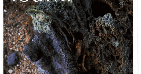 GMIT Libraries: Owen Quinlan features in Ceramic Review