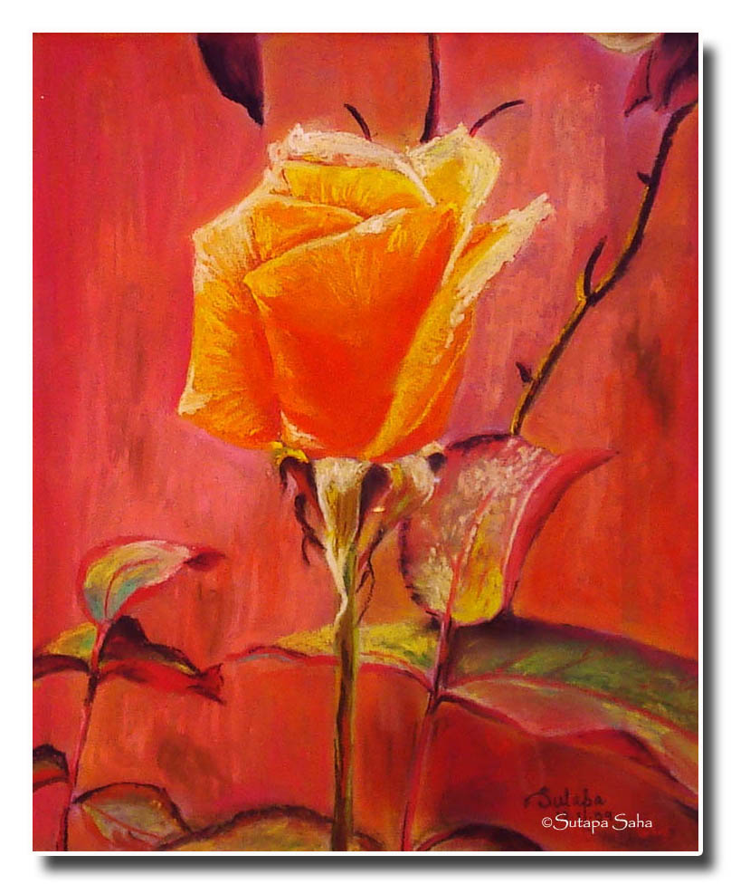 My Canvas: Cute Orange rose