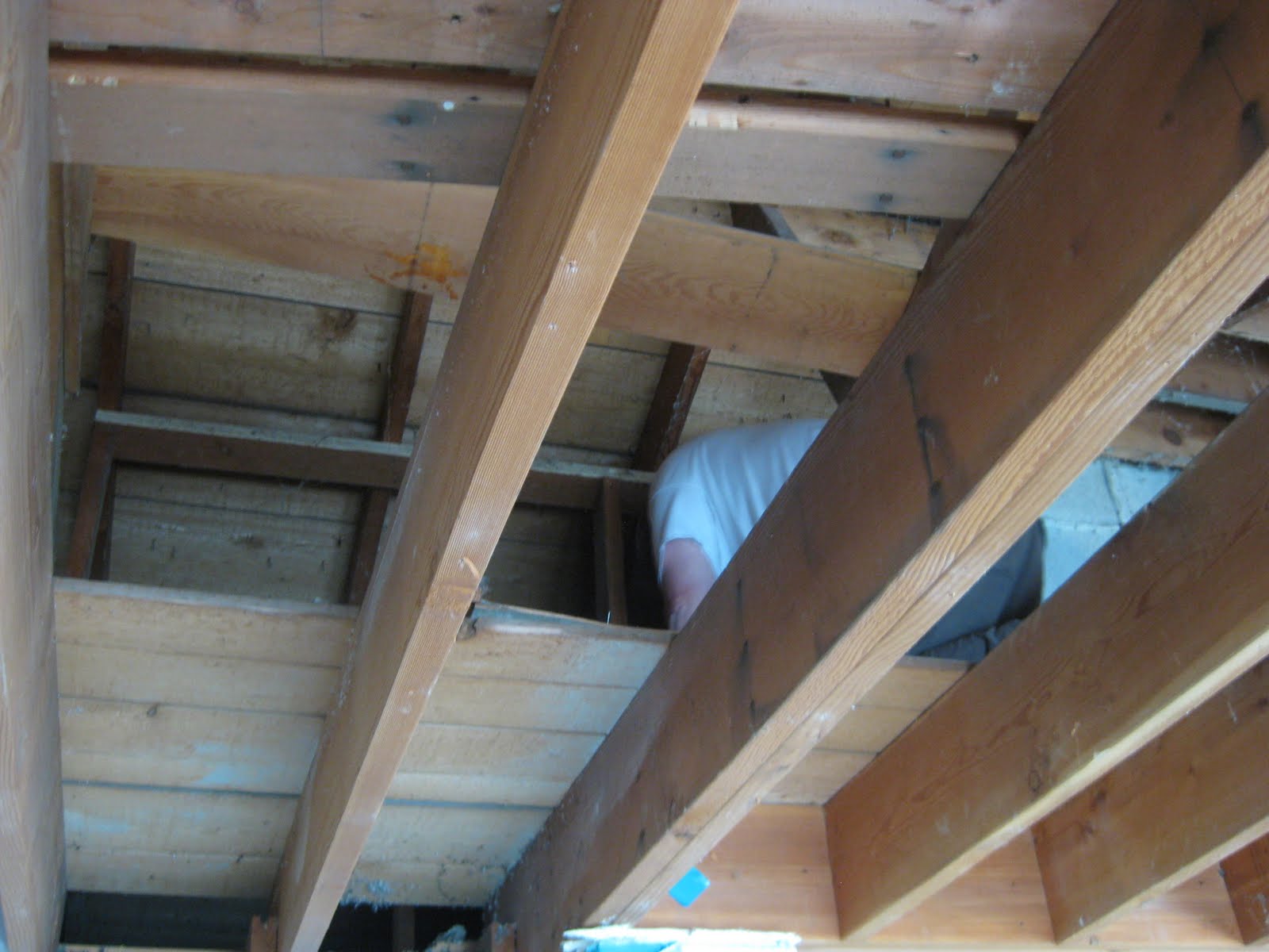 Bill and Paula's Excellent Remodel Adventure: Beams, headers, rafters ...