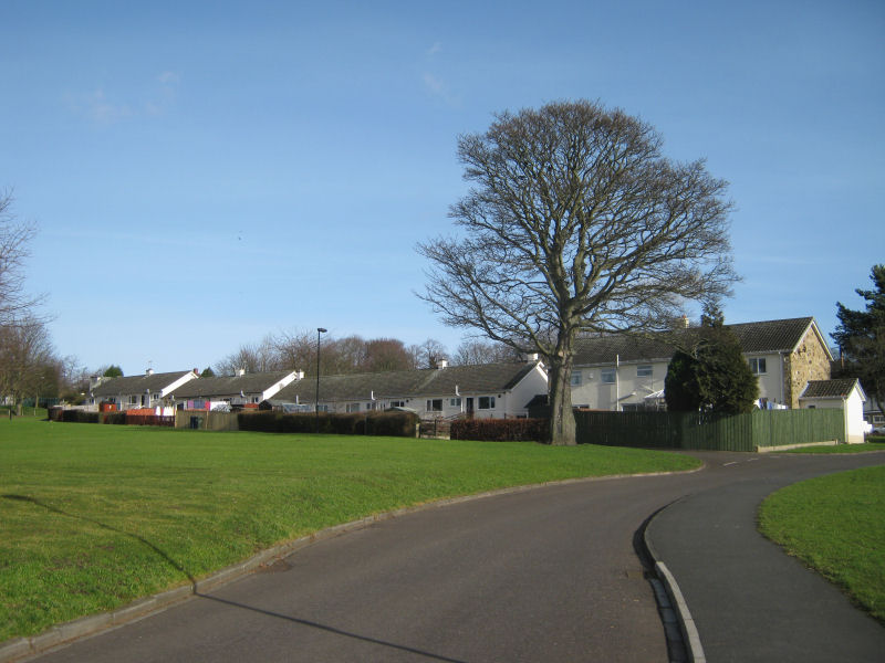 Photographs Of Newcastle: Walbottle