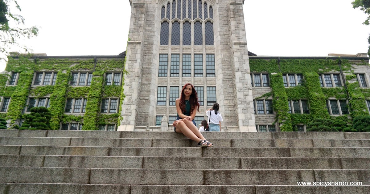 Korea Travelogue: Guide to Hongdae & Surrounding Attractions. - Spicy ...