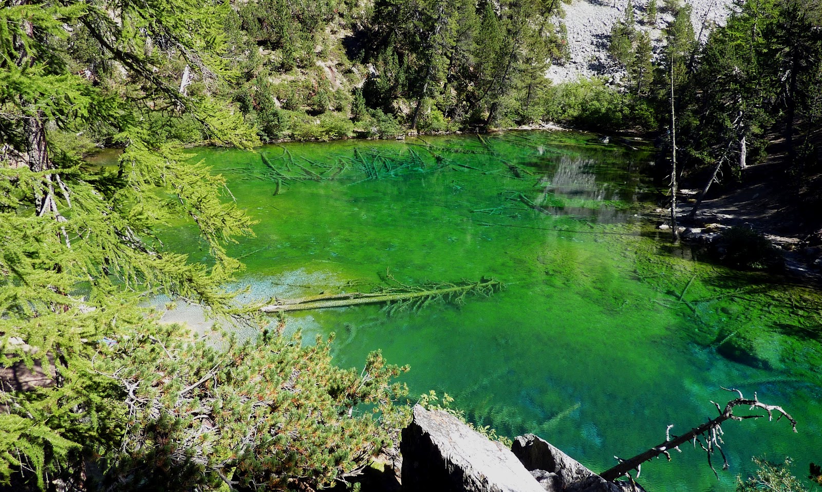 Associazione MONTAGNARD: DOMENICA 16 SETTEMBRE - Gita mountain bike ...