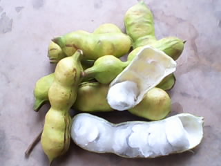 ASEM BELANDA BOROBUDUR | Riffa Transport sewa mobil jogja