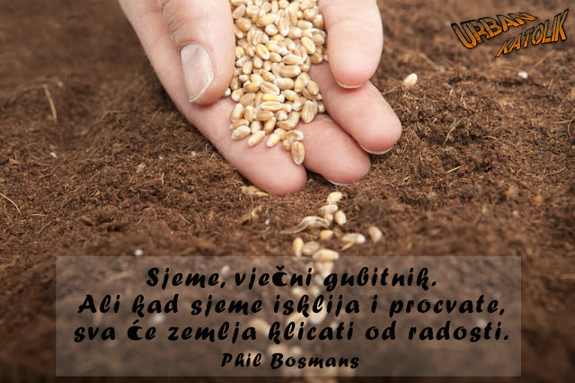 UrbAn KaToliK: Sjeme