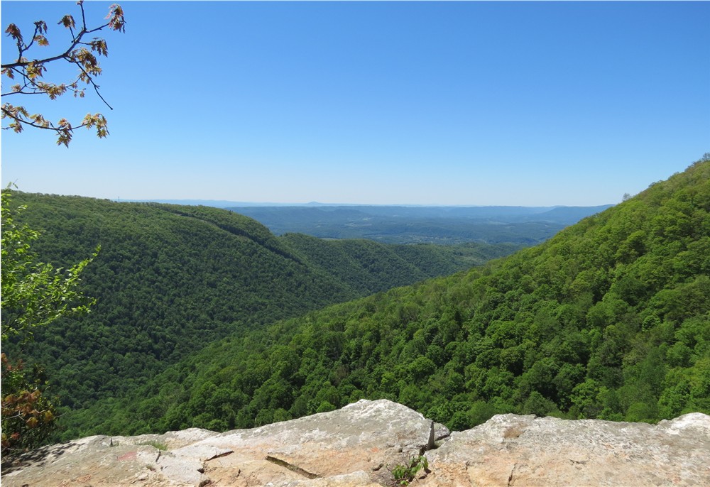 Gone Hikin': Jefferson National Forest, VA - Cascades and Barney's Wall