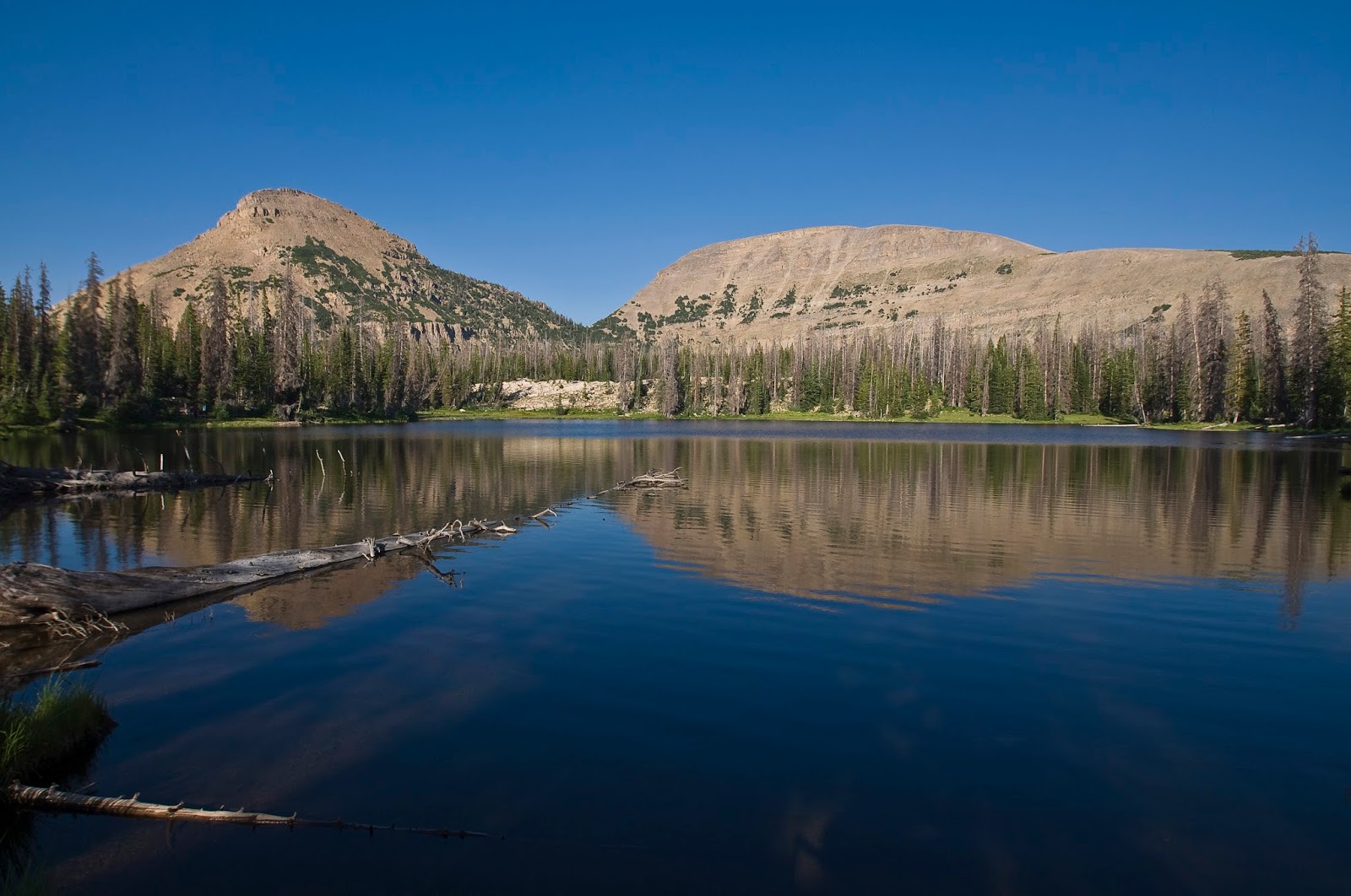 Seeking Shambhala: Dean Lake, Uinta Mountains- 8.5/6.2017