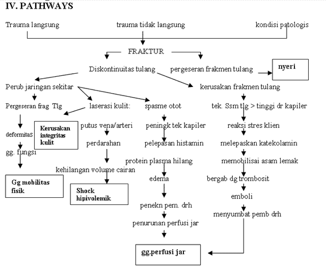 Lp Fraktur Antebrachii – Beinyu.com
