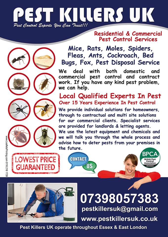 PEST KILLERS UK: PEST CONTROL EAST LONDON