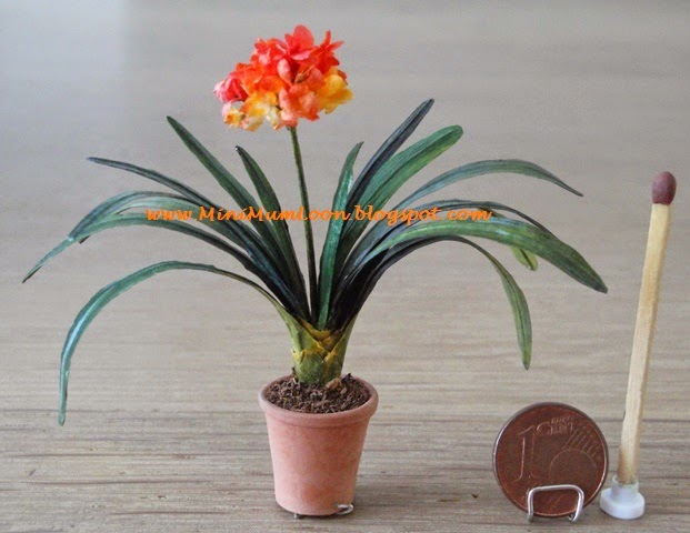 MiniMumLoon: Zuster Klivia / Nurse Klivia