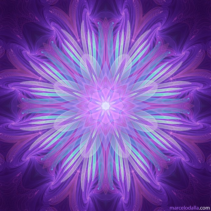 Além do meu olhar: COR VIOLETA