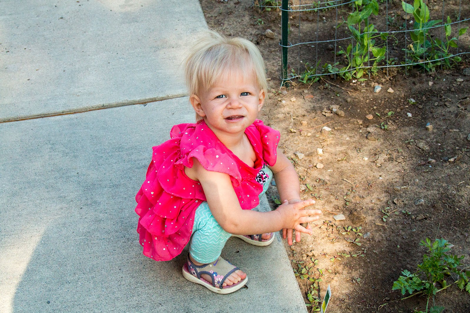 KP's History: 06/01/2018 - 07/01/2018