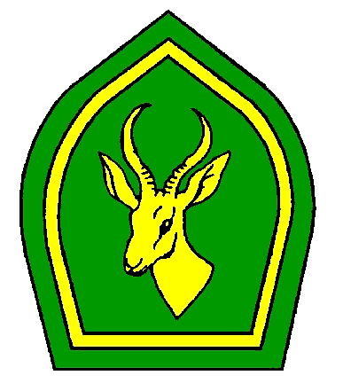 Harmelia Gardens Air Scout Group: How to become a Scout