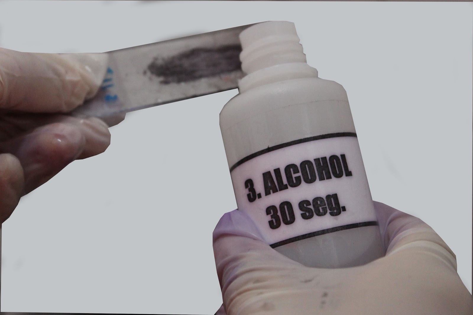 enero 2018 | Universidad Metropolitana-Proyectos Integradores