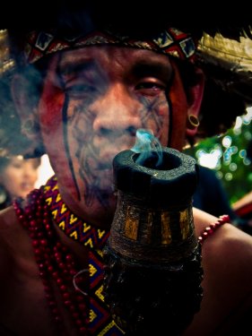 IndicadorOculto: Tabaco - herança indígena