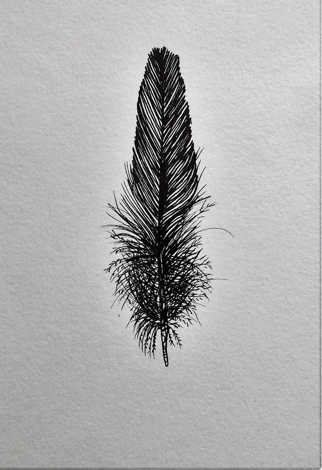 Delicate Stitches: Feather Drawings...