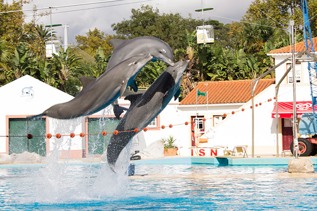 NaMedida: Conhecendo Portugal - Zoo de Lisboa